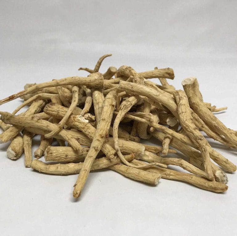 Buy Canadian Ginseng Online